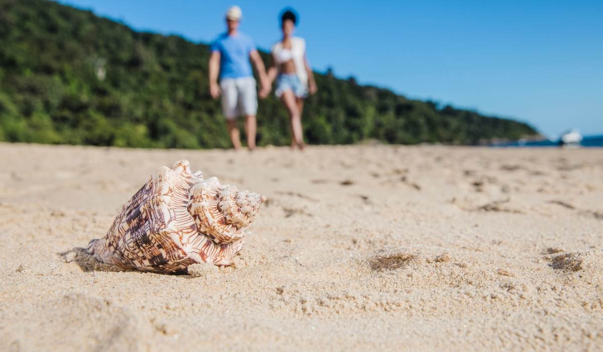 Shelling Boat Tours in Marco Island, FL | Safety Tips